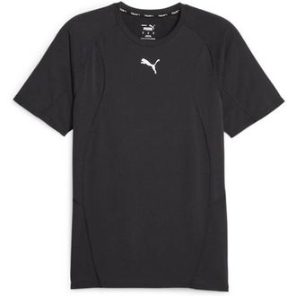 Puma Herren Shirt M Train DriRelease Tee
