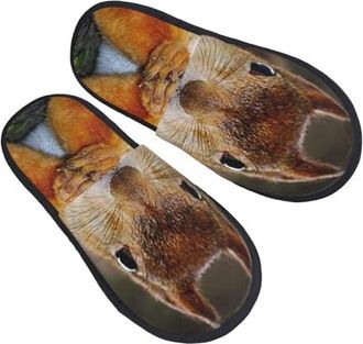 Generic Hiver Pantoufles &Eacute;cureuil Unisexe Fourrure Pantoufles Lavables Hiver Chausson Pour Spa Invit&eacute; Automne L