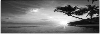 Paul Sinus Art Leinwandfoto als Panorama SCHWARZ/WEISS 150x50cm Strand Meer Palmen Sonnenuntergang