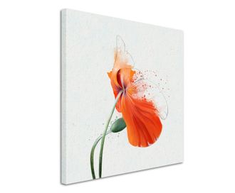 Paul Sinus Art Leinwandbild 60x60cm Orange Mohnblumen im Splash Art Stil auf Leinwand exklusives Wandbild moderne Fotografie f&uuml;r ihre Wand in vielen Gr&ouml;&szlig;en