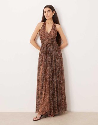 Lace & Beads Daphne - Robe longue style corset dos nu en tulle &agrave; imprim&eacute; l&eacute;opard-Brown