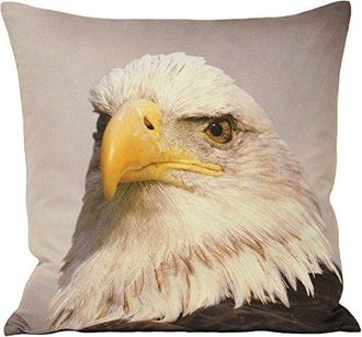 Riva Paoletti Animal Eagle 45X45 C/CASE, Polyester, Grau, 45x45cm