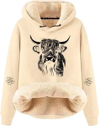 Generic Vestes dhiver pour femmes en laine &eacute;paisse chaude couleur unie laine dagneau sweat &agrave; capuche 2026, beige, XXL