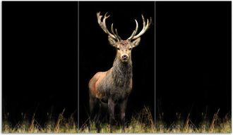 Wallario Herdabdeckplatte/Spritzschutz aus Glas, 3-teilig, 90x52cm mit 13mm hohen F&uuml;&szlig;en, f&uuml;r Ceran- und Induktionsherde, Stattlicher Rothirsch