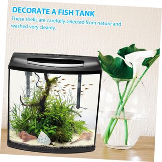 Aboofan Natürliche Aquarium Dekoration Teiliges mit Gemischten Muscheln und Seesternen Sauber Gewaschene Meeresdeko für Fischbecken Miniatur Unterwasser Theme