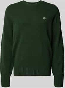 Lacoste Regular Fit Strickpullover aus reiner Wolle