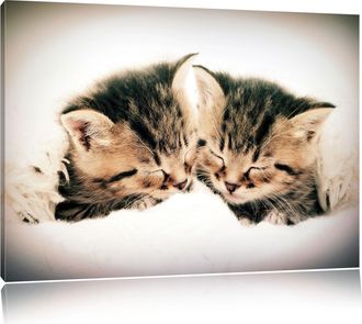 Pixxprint Katzen Herzform, Bild, Größe: 120x80cm, Leinwandbild, fertig gespannt, Wandbild, Dekoration, Kunstdruck, kein Poster