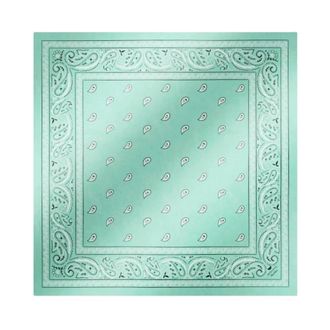 Max Mara Femme, Accessoires, Vert, Taille: ONE Size Wkapentola Stole