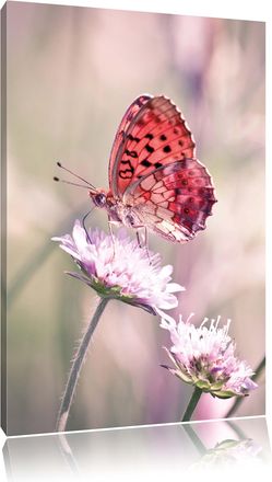Pixxprint Bezaubernder Schmetterling, Größe: 120x80cm, Leinwandbild, fertig gespannt, Wandbild, Dekoration, Kunstdruck, kein Poster