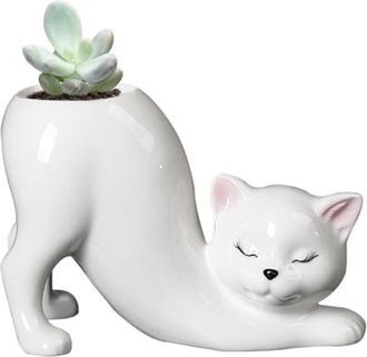 Generic Jardini&egrave;re pour Chat - Jolis Pots de dint&eacute;rieur et dext&eacute;rieur | jardini&egrave;res pour succulentes, Cactus et Fleurs, d&eacute;coration Parfaite pour la Maison, Le