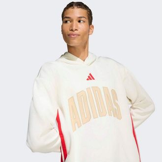 adidas Kapuzensweatshirt STADIUM GRAPHIC HOODIE