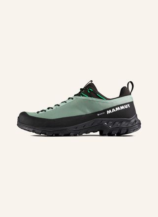 Mammut Mammut Zustiegsschuhe Alnasca Iv Low Gore-Tex grau