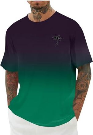 Generic Chemises à manches courtes pour homme - Dégradé - Vêtements de sport basiques décontractés - Pull à col rond - T-shirt musculaire - Vêtements de sport