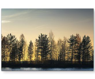 Paul Sinus Art Leinwandbilder | Bilder Leinwand 120x80cm Sonnenuntergang im Wald