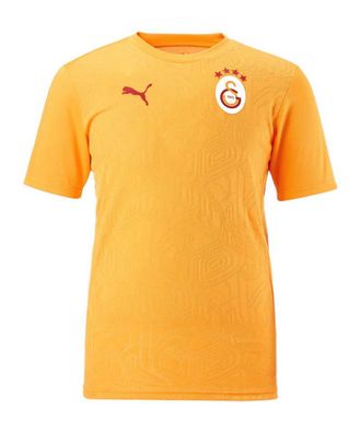 Puma T-Shirt PUMA Galatasaray Istanbul Training T-Shirt Polyester