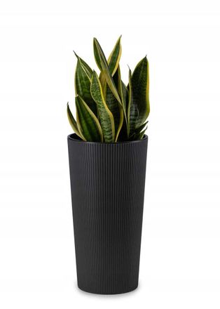 HowHomely Blumentopf Gross Hoch 47 cm mit Pflanzk&uuml;bel Einsatz 26 cm Durchmesser - Schwarz Pflanzk&uuml;bel Gro&szlig; aus Kunststoff f&uuml;r Deko Wohnzimmer Garten oder Terras