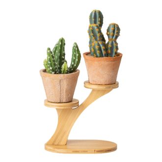 Generic Plant Support Stand - Klare Quetschflasche, Ölspenderflaschen im großkalibrigen Design mit Quetschverschluss | Einfach zu verwendendes Koch-Back-Küche