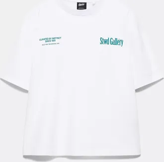 Pull & Bear T-Shirt STWD
