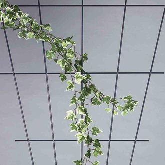 Siena Garden Siena Garden - Rosenspalier in V-Form gr&uuml;n 150 x 75 cm