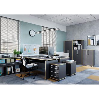 Germania home24 Aktenregal Front & Korpus: Spanplatte, beschichtet Griffe: Metall, lackiert Grau 123 x 75 x 40cm