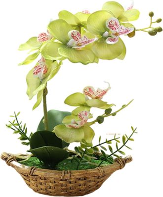 Generic 1 Stück Künstliche weiße Orchideen im Topf Lila Topf-Simulation Schmetterlingsorchidee Dekoratives Blumenarrangement Wohndeko Grüne Orchidee 27 cm (Gr