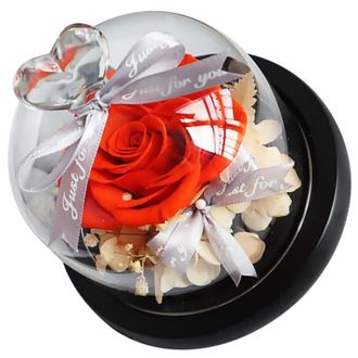 Garneck Ewige Rosendekoration im Glas mit Sockel Romantische Konservierte Rosenbl&uuml;te Langlebige Wohn und Valentinstagsdeko Zuf&auml;llige Farbe Zuf&auml;llige Farbe
