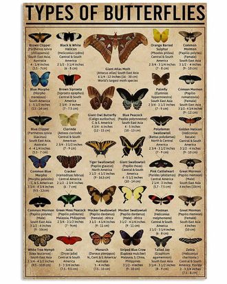 Generic Ara Step Types Of Art Poster Prints 2 (Arten von Schmetterlingen mit Notizen, Kunstdruck Poster, Innendekoration Geschenk, 297 x 420 mm)