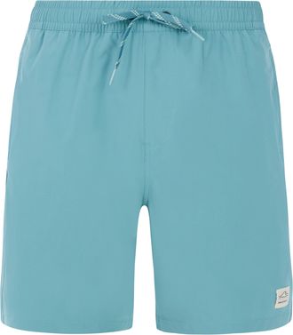 Protest Herren Badeshorts PRTBAKY