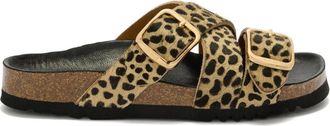 Scholl Femme, Chaussures, Brun, Taille: 37 EU Selene LeaPon - W
