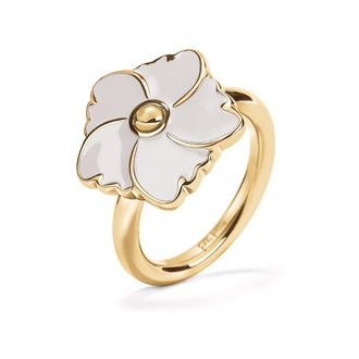 Folli Follie 3r19t009yw54