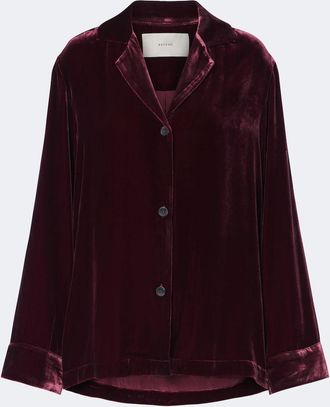 Asceno Hemd Calabasas aus Samt