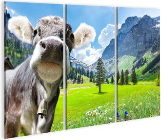 Islandburner Bild auf Leinwand Kuh In Den Schweizer Alpen Tiere Leinwandbild Wandbild Prime Bilder für Wohnzimmer etc