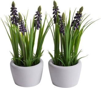 Botanic-Haus künstliches Muscariarrangement/Traubenhyazinthe im grauen Zementtopf Farbe: dunkellila (2 Stück)