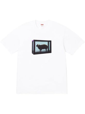 SUPREME x Damien Hirst t-shirt imprimé - Blanc