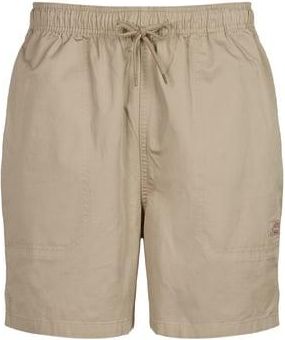 Dickies Short Pelican en coton