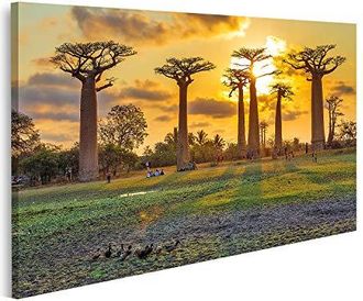 Islandburner Tableau sur Toile Beaux Baobabs Au Coucher du Soleil Avenue des Baobabs Madagascar Cadre Affiche Poster Murale Tableaux