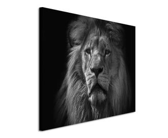 Paul Sinus Art 50x70cm Wandbild Fotoleinwand Bild in Schwarz Weiss Portrait m&auml;nnlicher L&ouml;we