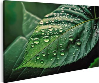 Islandburner Bild auf Leinwand Blatt Mit Regentropfen Im Gr&uuml;nen Umgebungslicht Bilder Wandbilder Poster
