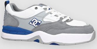 DC Ascend Skateschuhe blue