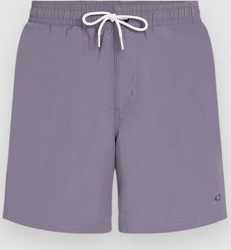 O'Neill Vert 16 Boardshorts storm