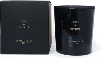 Cerer&iacute;a Moll&aacute; CERER&Iacute;A MOLLA 1899 | XL Kerze Fig & Citrus | 3-Docht Aromakerzen | 80 Stunden Brenndauer | Nat&uuml;rliche Duftkerze | Recycelbare Verpackung | Handgemacht