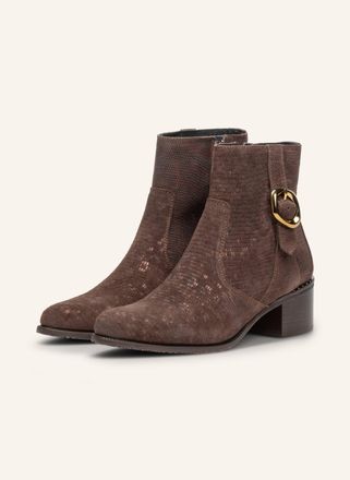 Floris Van Bommel Floris Van Bommel Stiefelette Evi 05 braun