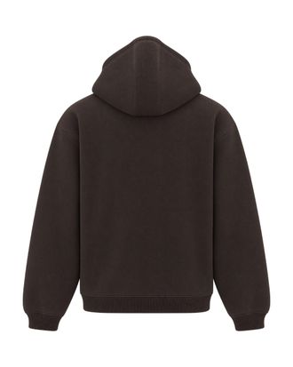 Carhartt Work in Progress Ebbert Hoodie - Brown