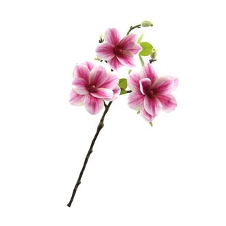 Holibanna Künstlicher Magnolienzweig Dekoration Simulationsblume Rosafarben Innenbereich Schmuck Kunstblumen Langlebig Naturgetreu