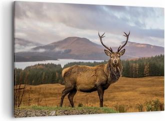 Arttor Wandbilder Dekoration Wohnzimmer Rehe Wiese Berge Bilder auf Leinwand 120x80cm Leinwandbild Schlafzimmer K&uuml;che Deko Wand Kunstdruck Art Gro&szlig; XXL Wandd