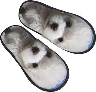 Generic Pantoufles En Coton Bichon Fris&eacute; Cozy Slippers Doux Chaussons Pour Camping Voyage Int&eacute;rieur L