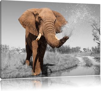 Pixxprint schöner Elefant spritzt mit Wasser als, Größe: 80x60cm, Leinwandbild, fertig gespannt, Wandbild, Dekoration, Kunstdruck, kein Poster