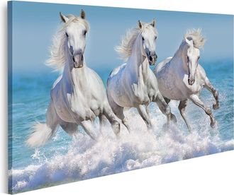 Islandburner Bild auf Leinwand Pferde Wasser Weißes Pferd Herde Kinderzimmer Reiten Bilder Wandbilder Poster