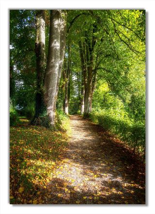Wallario selbstklebendes Poster - Weg im Sonnenlicht, Aufkleber in Premiumqualit&auml;t, Klebefolie Gr&ouml;&szlig;e: 70 x 100 cm (Riesenposter)