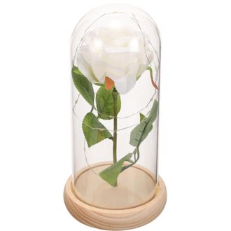 Cabilock FIXOSHEE Glasschirm mit Konservierter Rose Ewige Blumendekoration in Glaskuppel Valentinstagsgeschenk f&uuml;r Frauen Romantische Heimdekoration LED F&auml;hig 